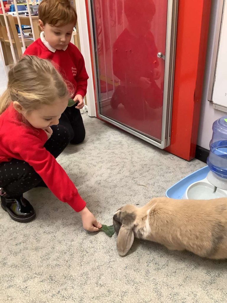 Parsloes Primary School | EYFS – Rabbits